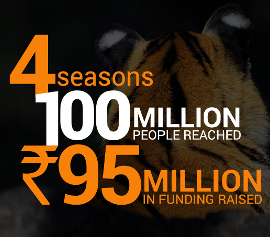 Save Our Tigers Campaign - Wildlife Conservation Trust