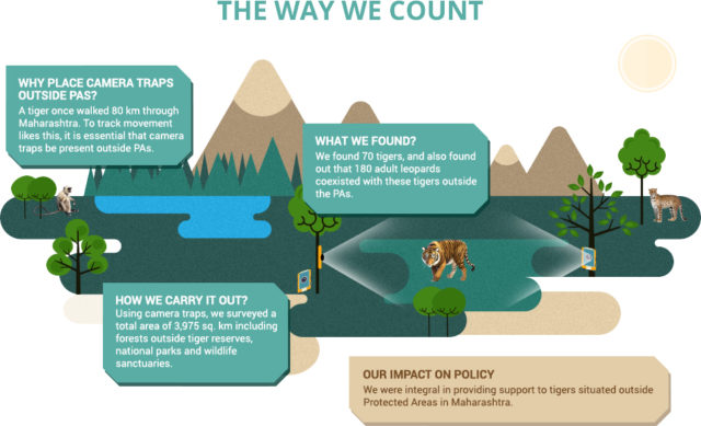 Wildlife Population Estimation - Wildlife Conservation Trust