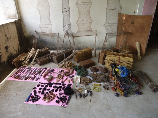 Wildlife Trafficking: Here’s What You Should Know - Wildlife ...