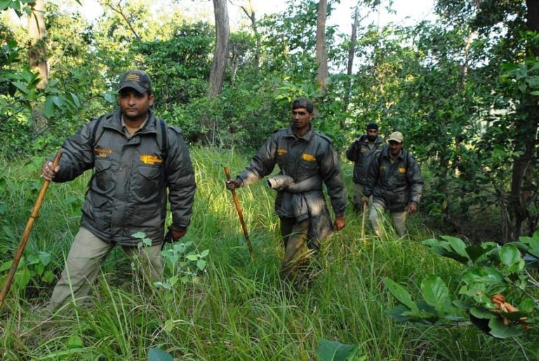 The Guardians of our Forests - Wildlife Conservation Trust