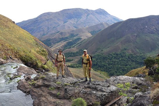 MSTrIPES – A Protective Web For India’s Tiger Forests - Wildlife ...