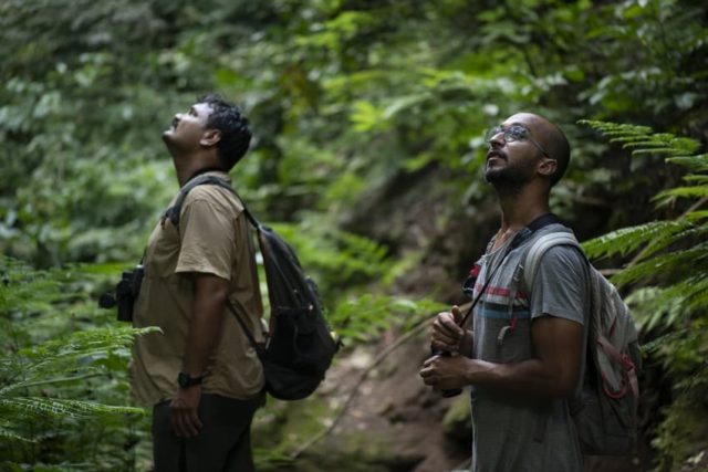 The Unique Case of Narcondam Hornbill - Wildlife Conservation Trust