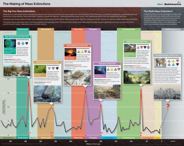 Extinction - The Mainstay of Life on Earth - Wildlife Conservation Trust
