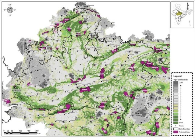 Tiger Connectivity - Strengthening and Protecting Wildlife Corridors ...