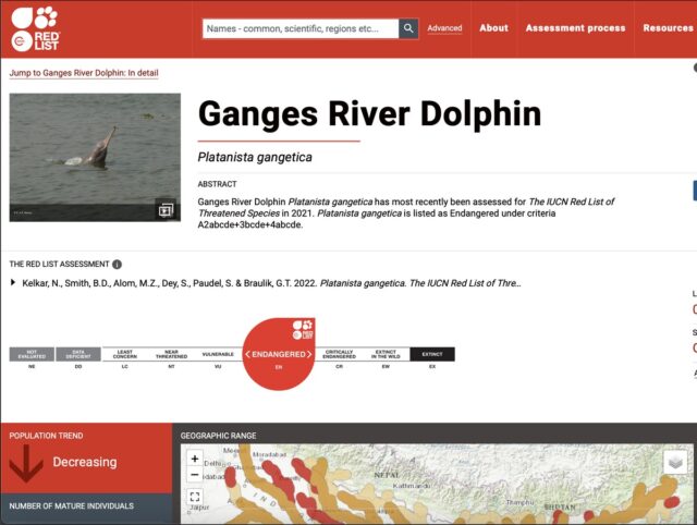 IUCN's latest Red List Assessment of the Ganges river dolphin ...