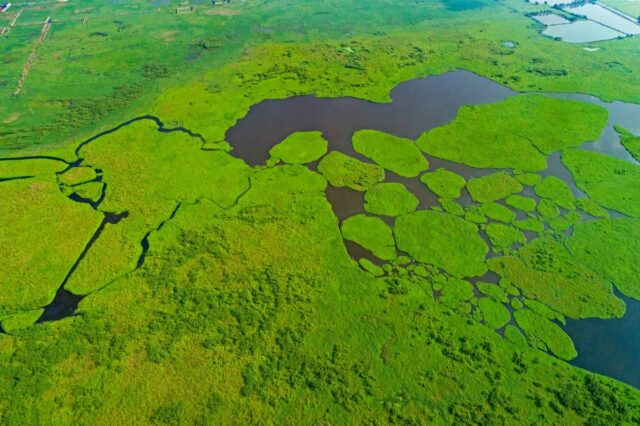 [Expert Speak] Dankuni’s Vanishing Wetlands of The People and For The ...