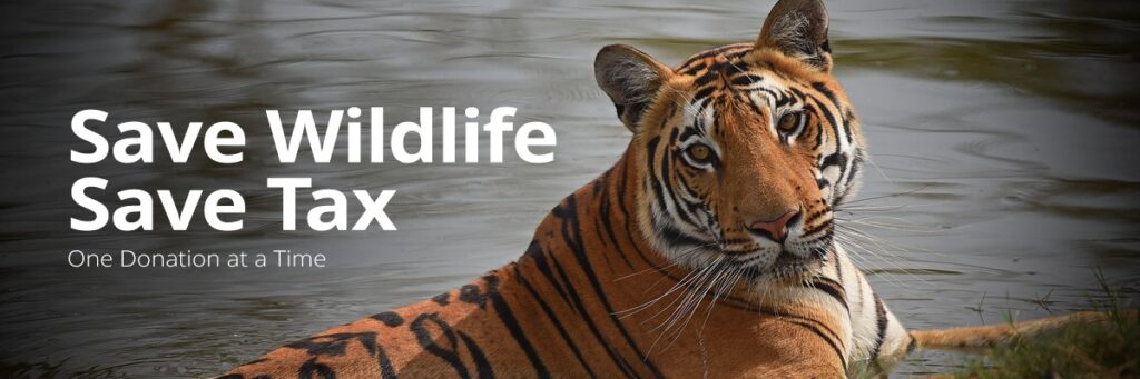 Donate and Save Tax - Wildlife Conservation Trust