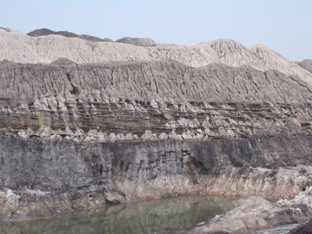 Fossil Pollen: Microscopic Windows into the Planet’s Geological Past ...