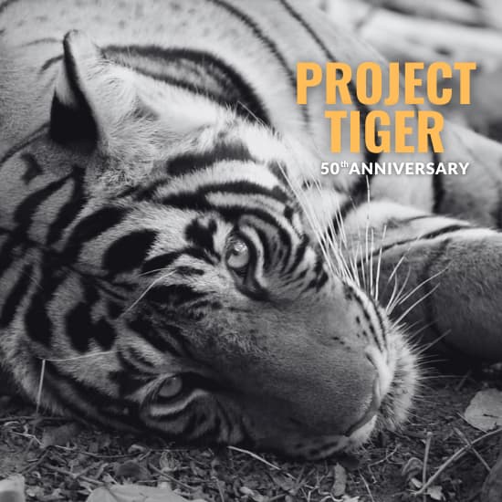 Project Tiger - 50th Anniversary - Wildlife Conservation Trust