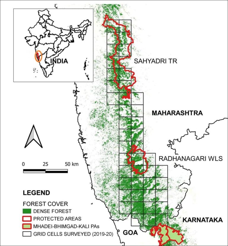 Piecing Together a Threatened Corridor and Fates of Large Carnivores ...