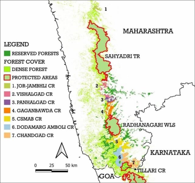 Piecing Together a Threatened Corridor and Fates of Large Carnivores ...
