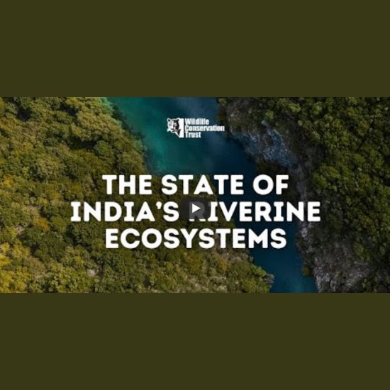The State of India’s Riverine Ecosystems - Wildlife Conservation Trust