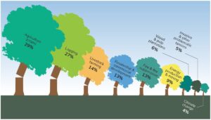 A Third of the World's Trees Face Extinction: A Wake-Up Call - Wildlife ...