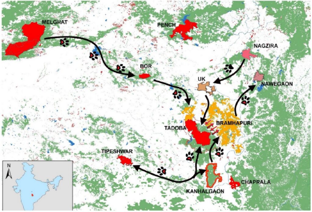 Connectivity Conservation - Wildlife Conservation Trust
